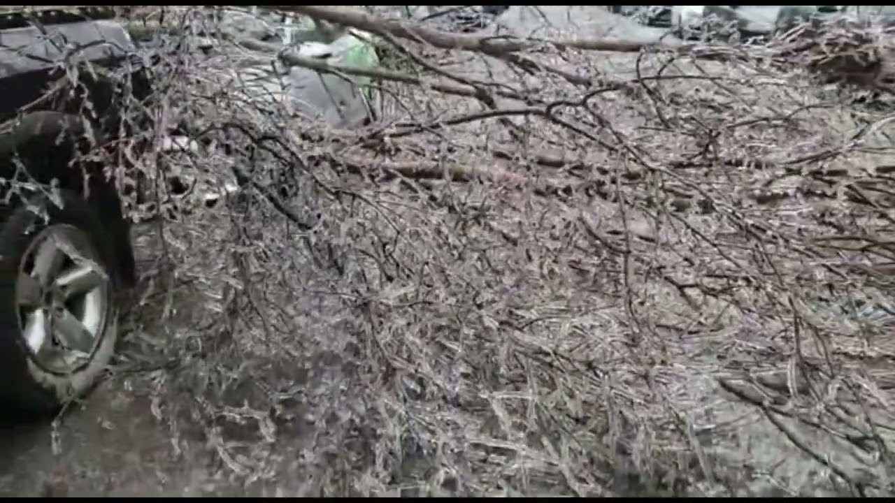 Peste un milion de familii nu au curent electric în Quebec. La Montreal ...