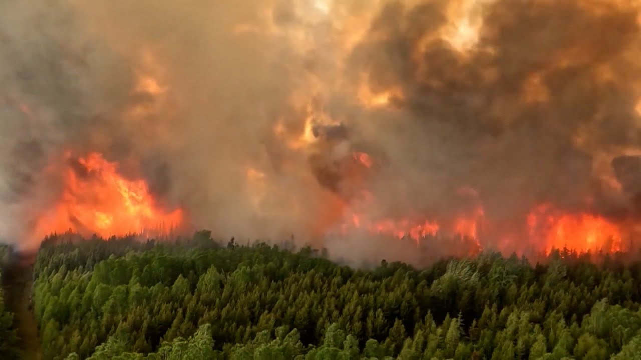 Şase milioane de hectare de pădure din Canada, distruse de incendii ...